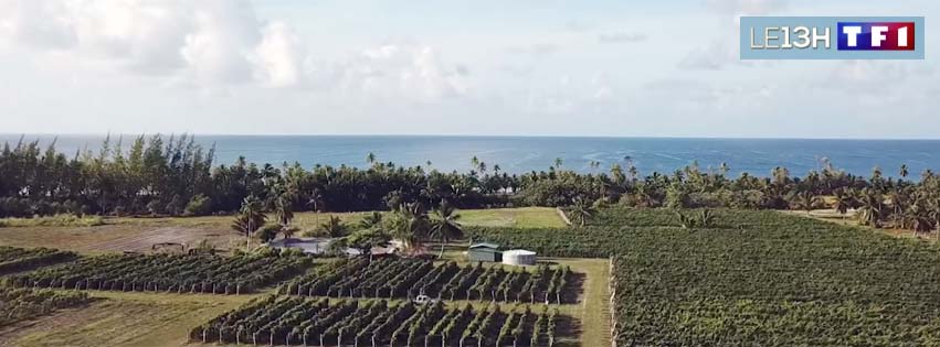 Vins de Tahiti Dominique Auroy - La Boutique du Monoï. - Le blog du Monoï